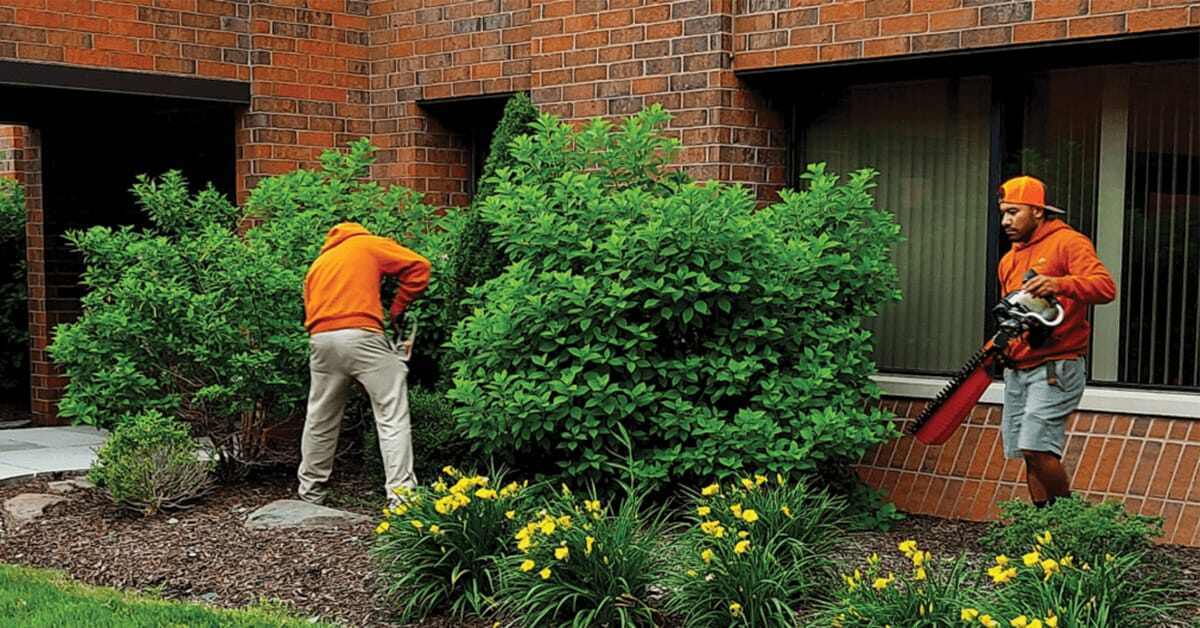 The Green Standard: Excellence in Commercial Landscape Maintenance ...