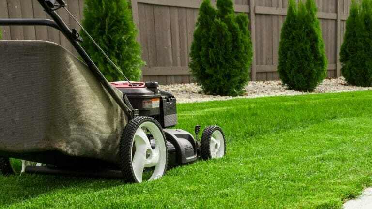 Ultimate Guide to Landscape Maintenance - Exscape Designs