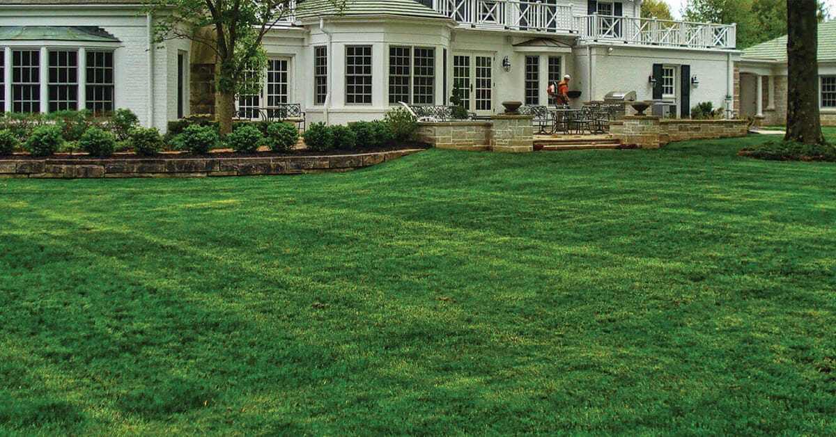 Elevate Your Home's Curb Appeal: The Importance of Residential ...